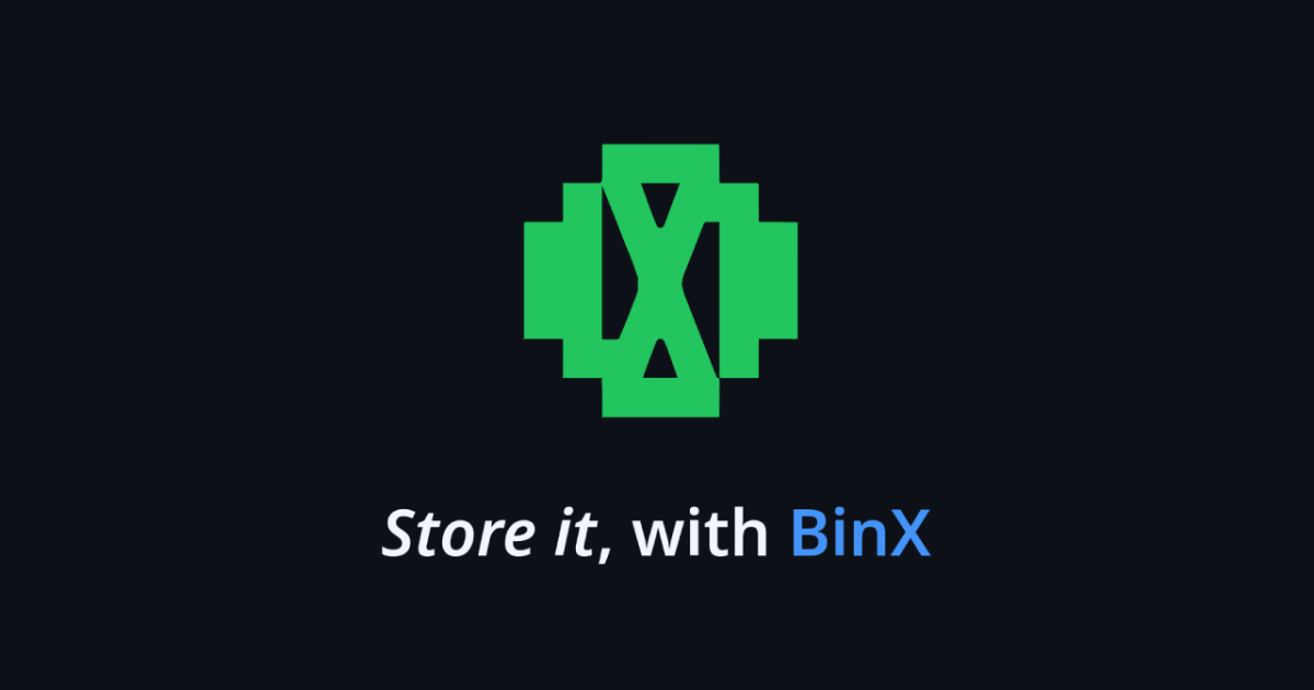 BinX - Secure File Storage